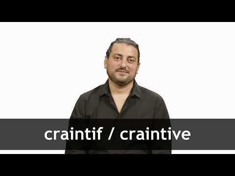 English Translation of “CRAINTIF” | Collins French-English Dictionary
