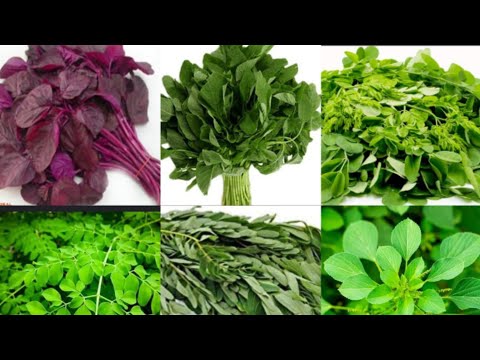 30 வகையான கீரைகள் /30 variety's spinach (names) in Tamil and English with images /@MasaCreations