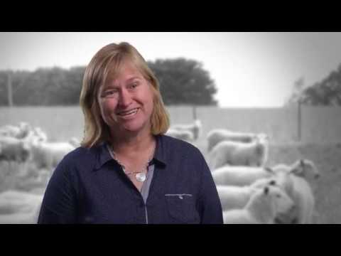 Regional Consultation & the Annual Call - Jenny O'Sullivan