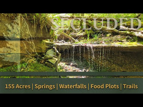 Land For Sale: 155 Acres Ozark County Missouri