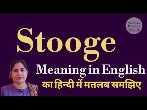 stooge meaning l meaning of stooge l stooge ka kya matlab hota hai l hindi l english