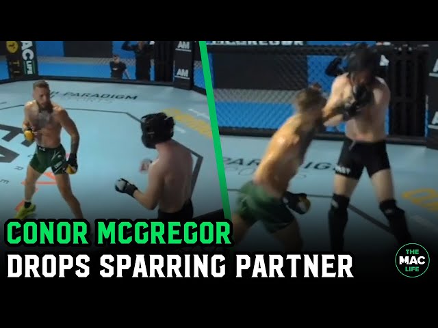 Watch: Conor McGregor stuns and drops sparring partner with massive ...
