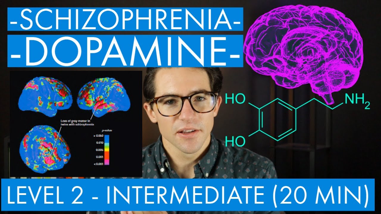 Schizophrenia and Dopamine (Level 2 - Intermediate)
