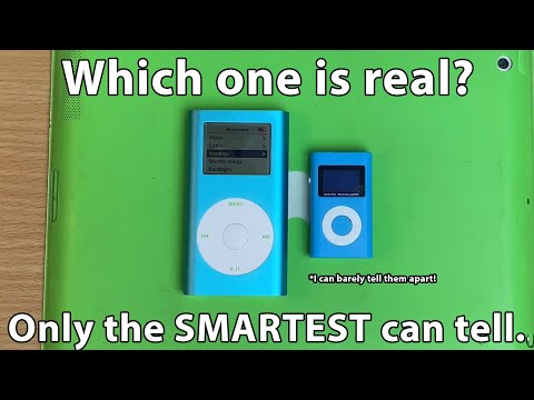 I bought the cheapest fake iPods.