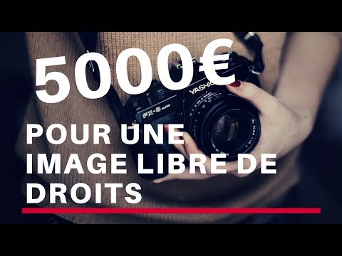 5.000€ pour avoir copié-collé une image libre de droits