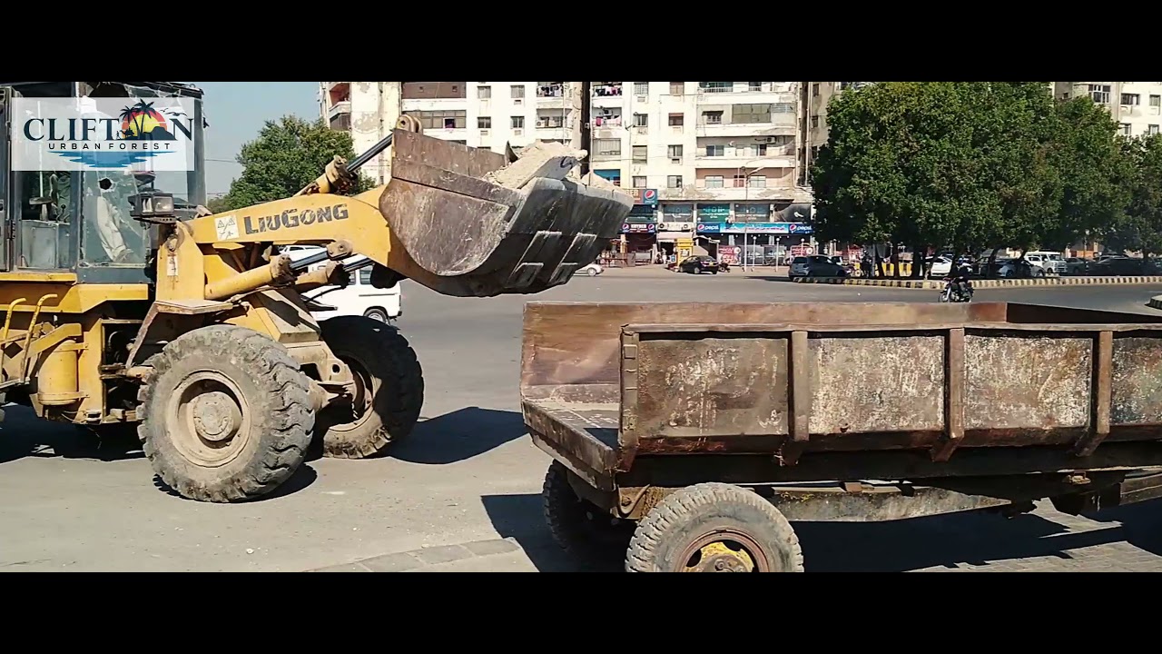 CLIFTON URBAN FOREST | THE BEGINNING