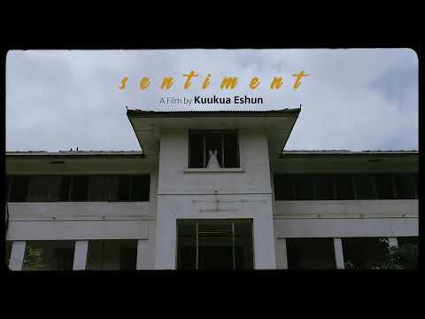 Kuukua Eshun - Sentiment (Journal Visual Piece) “Experimental Short Film”
