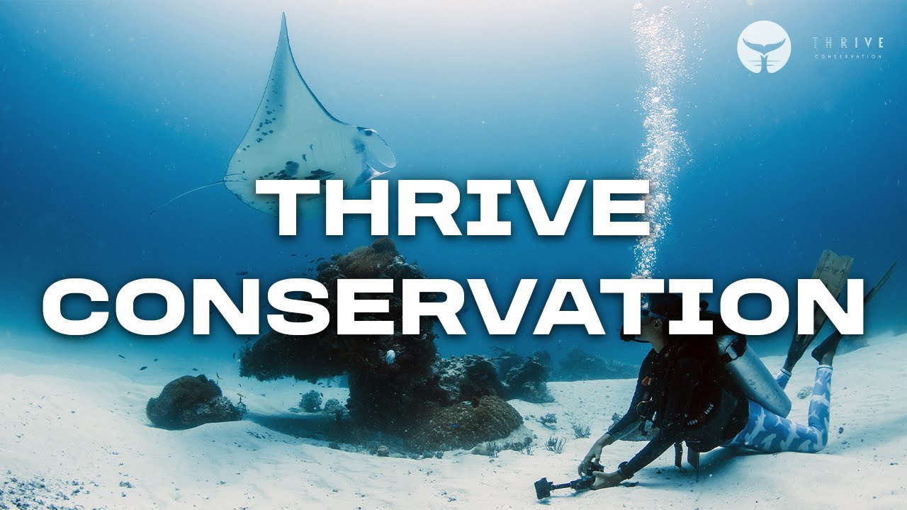 Who Are We? | Thrive Conservation