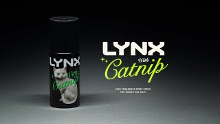 Lynx New Lynx with Catnip | Get Apprrrrroved! advert Commercial ad uk
