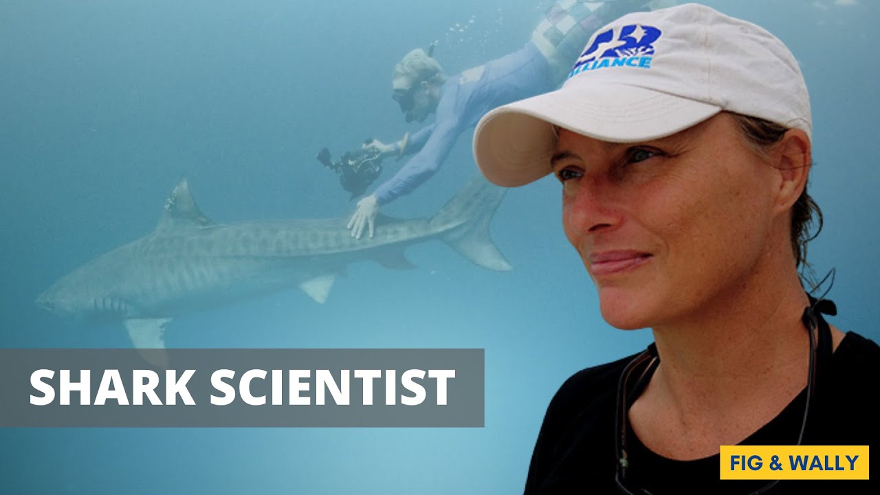 What is takes to be a Shark scientist and conservationist, Dr. Rachel Graham, MarAlliance.