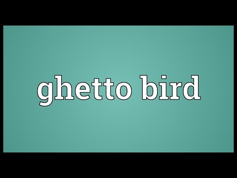 Ghetto bird Meaning