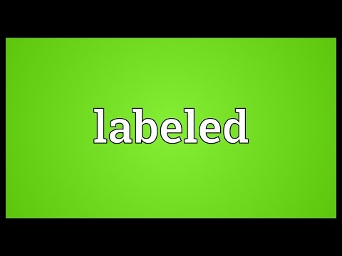 Labeled Meaning
