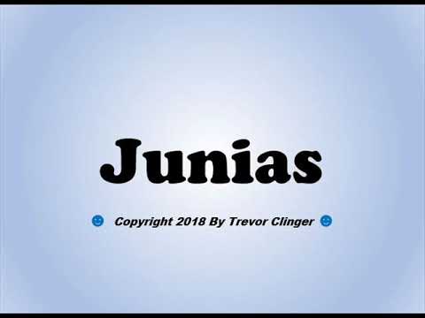 How To Pronounce Junias