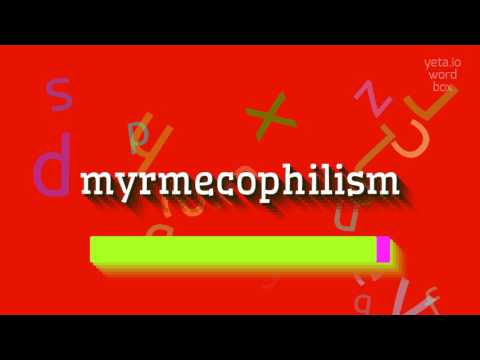 MYRMECOPHILISM - HOW TO PRONOUNCE IT?