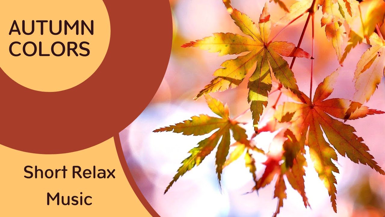 Autumn Colors - Enchanting autumn nature scenes and soothing piano music for stress relief
