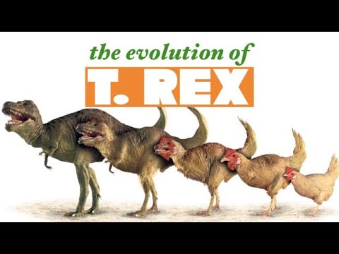 Are Chickens Really The Closest Descendants Of T-Rex?