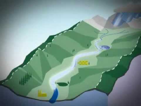 The Ripple Effect, The Role of Conservation Authorities In Protecting Ontario's Drinking Water