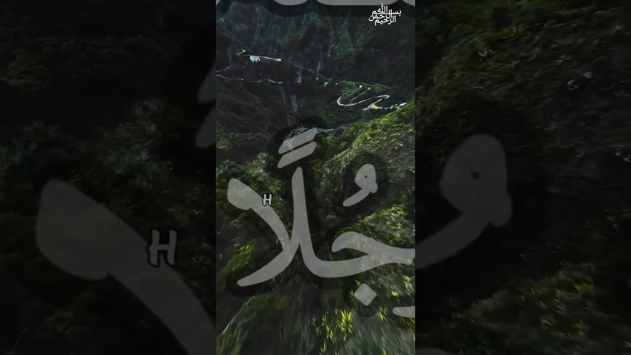 QURAN RECITATION SURAH GHAFIR SHEIKH KHALID JALEEL