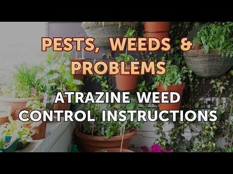 Atrazine Weed Control Instructions