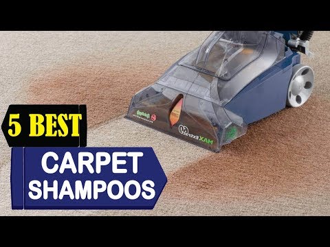 5 Best Carpet Shampoos 2024 | Best Carpet Shampoos Reviews | Top 5 Carpet Shampoos