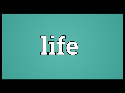 Life Meaning