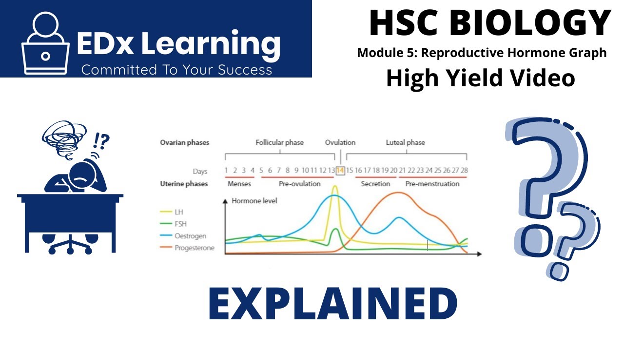 HSC Biology Module 5: Female hormonal graph EXPLAINED