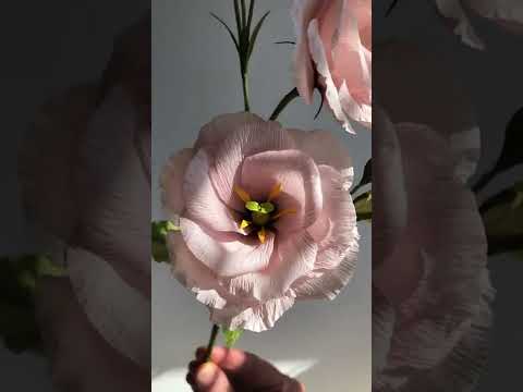 Crepe paper Lisianthus flower, my newest design! Tutorial releasing on Patreon in July😁