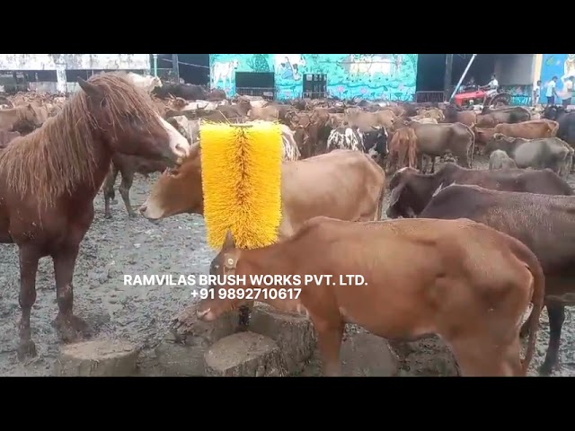Cow Brush - Cow Grooming Brush Manufacturer from Mumbai