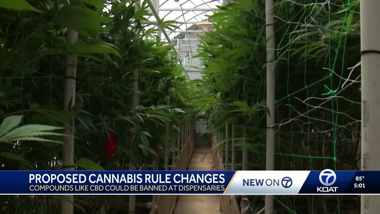 Proposed cannabis rule changes in New Mexico spark industry concerns