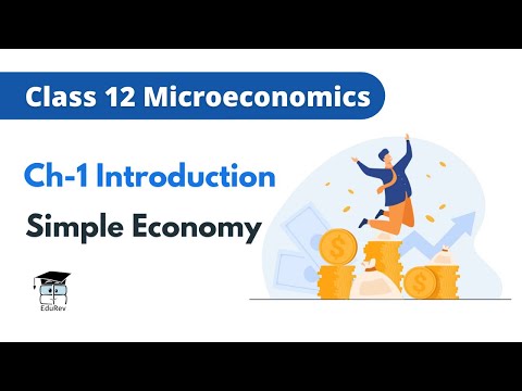 Introduction - Simple Economy Video Lecture - Economics for Grade 11