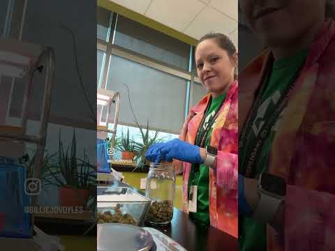 How to make FECO / RSO? B. Voyles in the Lab - Part 1 of 2