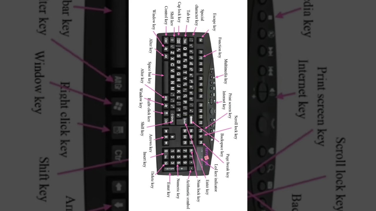 All keyboard keys function|keyboard key name #computer #keyboard #key