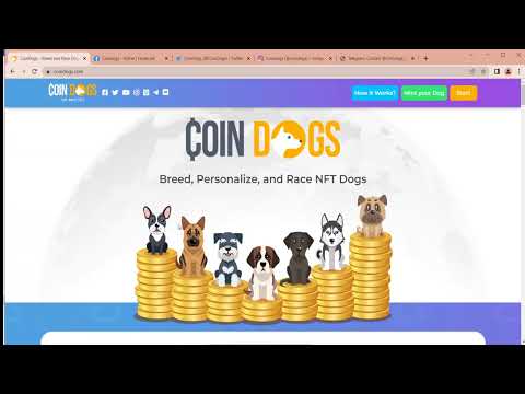 Create your own cute virtual NFT dogs,race them