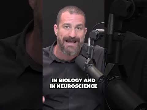 Discovering the Mind-Body Connection: What You Didn't Know | Dr. Andrew Huberman