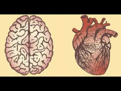 Infective Endocarditis-Associated Stroke