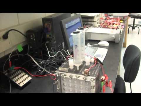 WebCam MFC- See a microbial fuel cell powering a fan