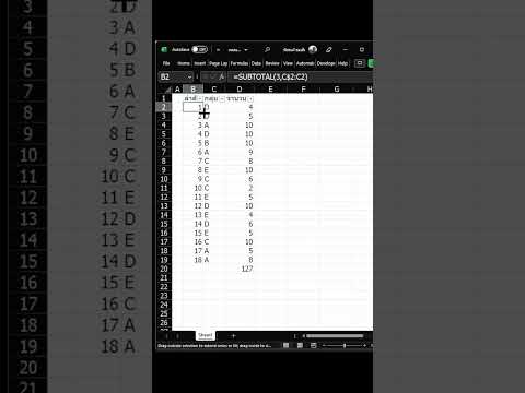 Subtotal with Auto Filter