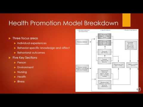 Nola Pender Health Promotion Model