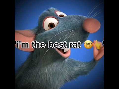 I'm The Best Rat #fnaf #frogling #fypシ #memes #frog #frogcore #edit #froggo #funny #frogge