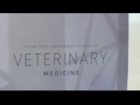 Conference committee approves $17.4 million in operational funding for Texas Tech Vet School