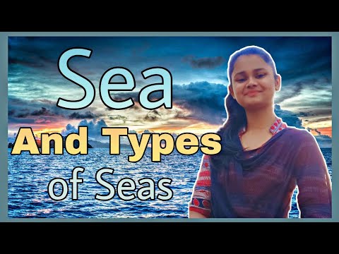 Sea and it's types in Hindi