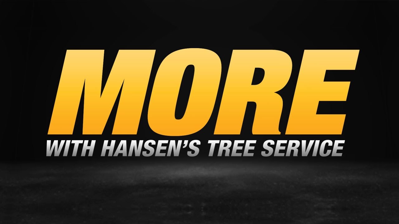 MORE with Vermeer: Hansen’s Tree Service