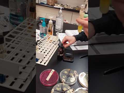 MRVP test