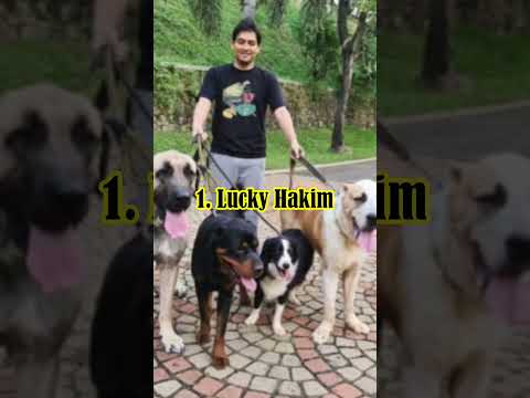 SUDAH TAU NAJ1S_5 ARTIS MUSLIM YANG MEMELIHARA ANJING #artis #indonesia #indonesia #shorts