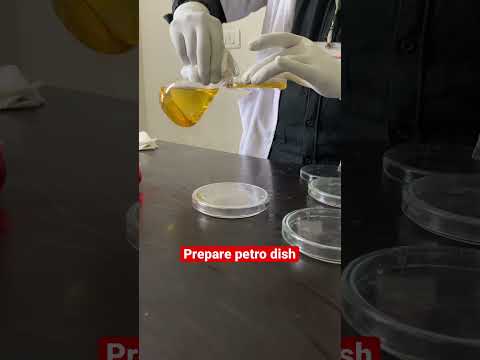 Prepare petri dish@BMLTnikk