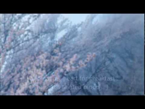 Front Porch Step - Poison ( Lyrics )