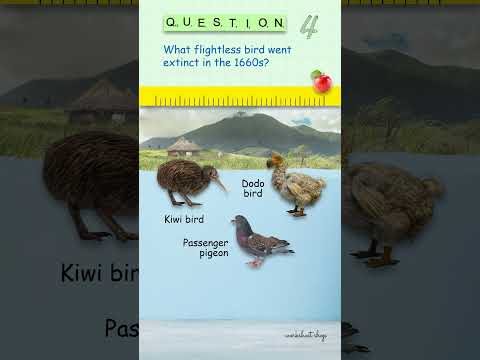 π Boost Your Brainpower - Brain Train For Back To School Q4 | Brain-Teasing Learning Quiz