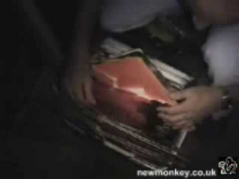 DJ Nemesis The New Monkey