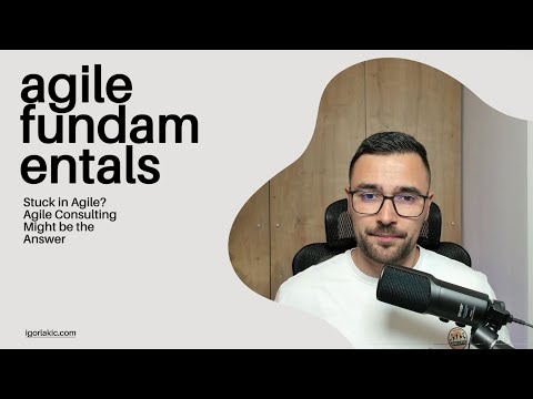 What Agile Consultants Really Do (And When You Need One)