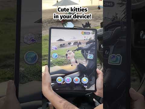My Cat | Virtual Pet Game - Explore the World with Your Sea Kitty!